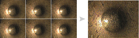 IMT - Image & Microscope Technology - Image analysis software developer